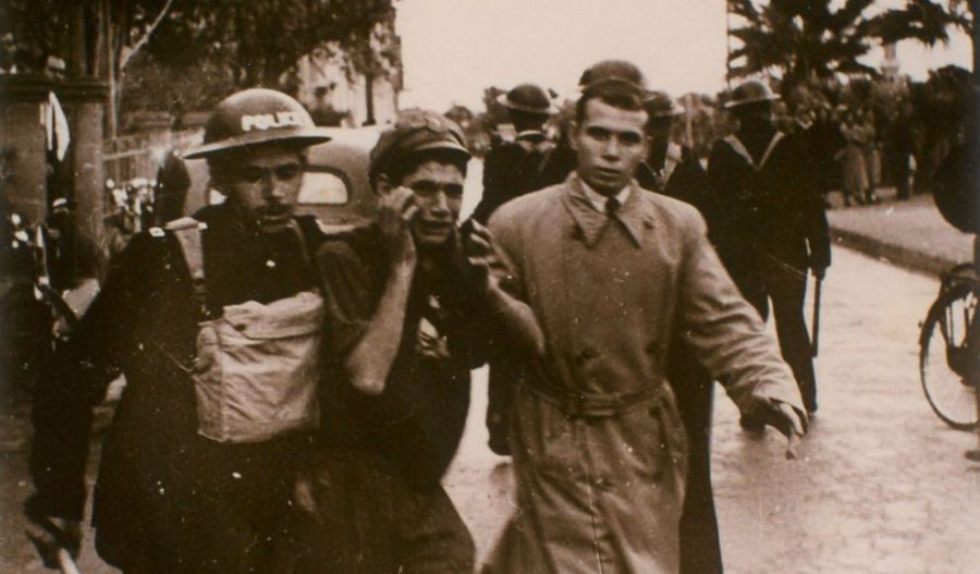 Life, Knews, Kathimerini Cyprus English Edition