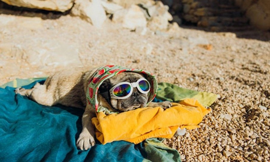Monday forecast: Sunshine, heat and a questionable sense of what day it ...
